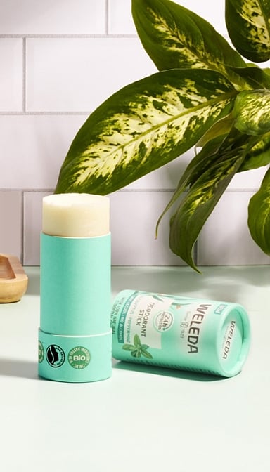 Eucalyptus + Peppermint 24H Deodorant Stick - WELEDA