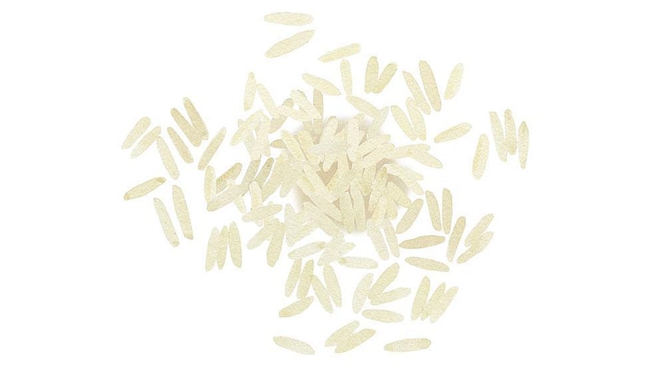 Oryza Sativa (Rice) Extract - Weleda